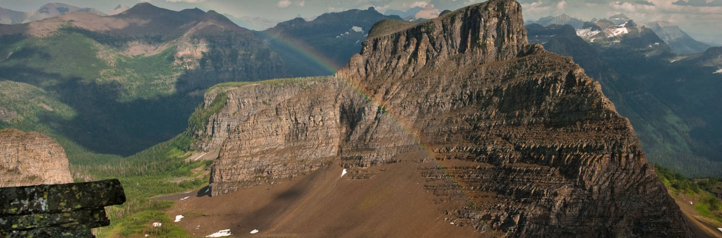 Our work – Wildsight