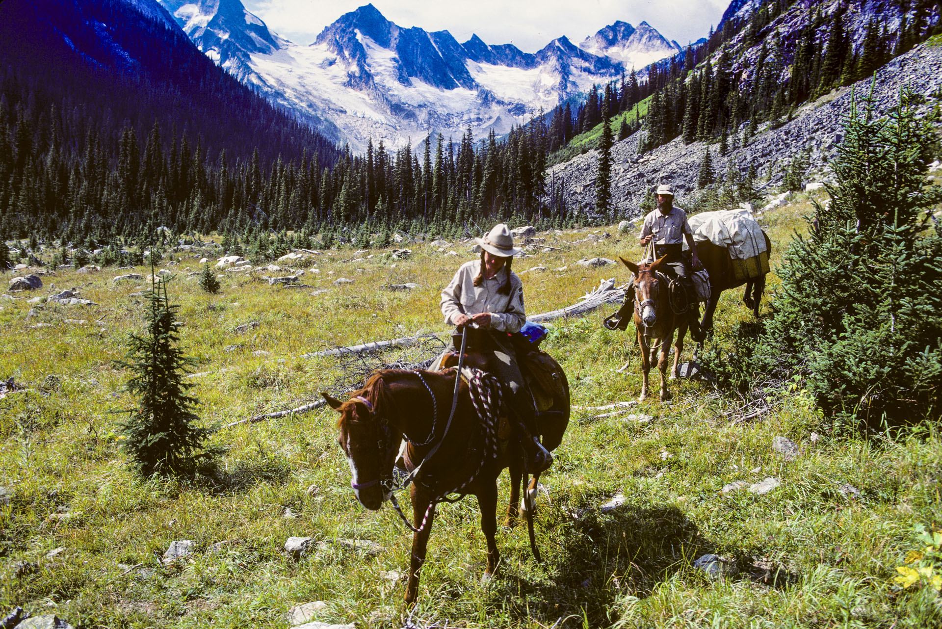 Purcell Mountains – Wildsight