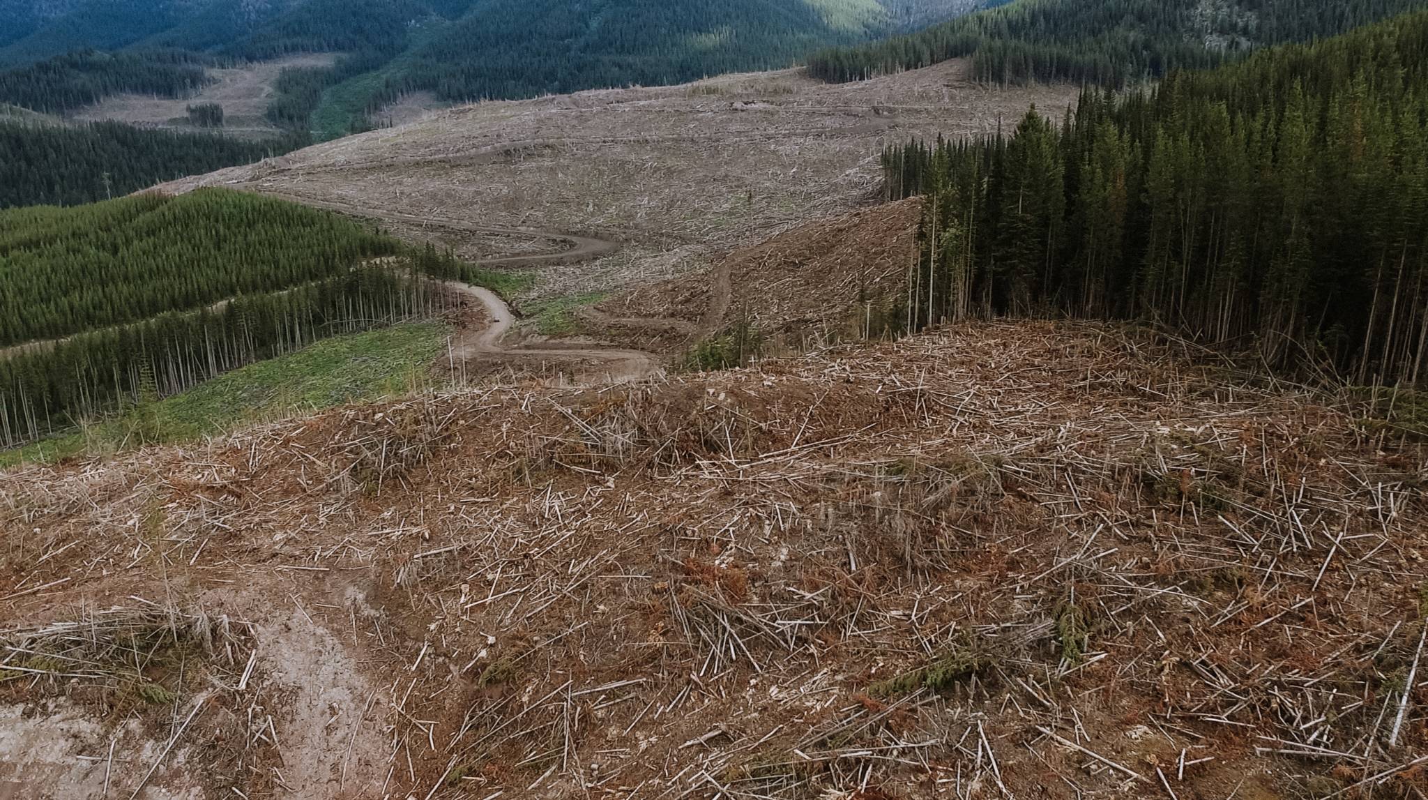 Creston Private Land Logging Town Hall Meeting – Wildsight