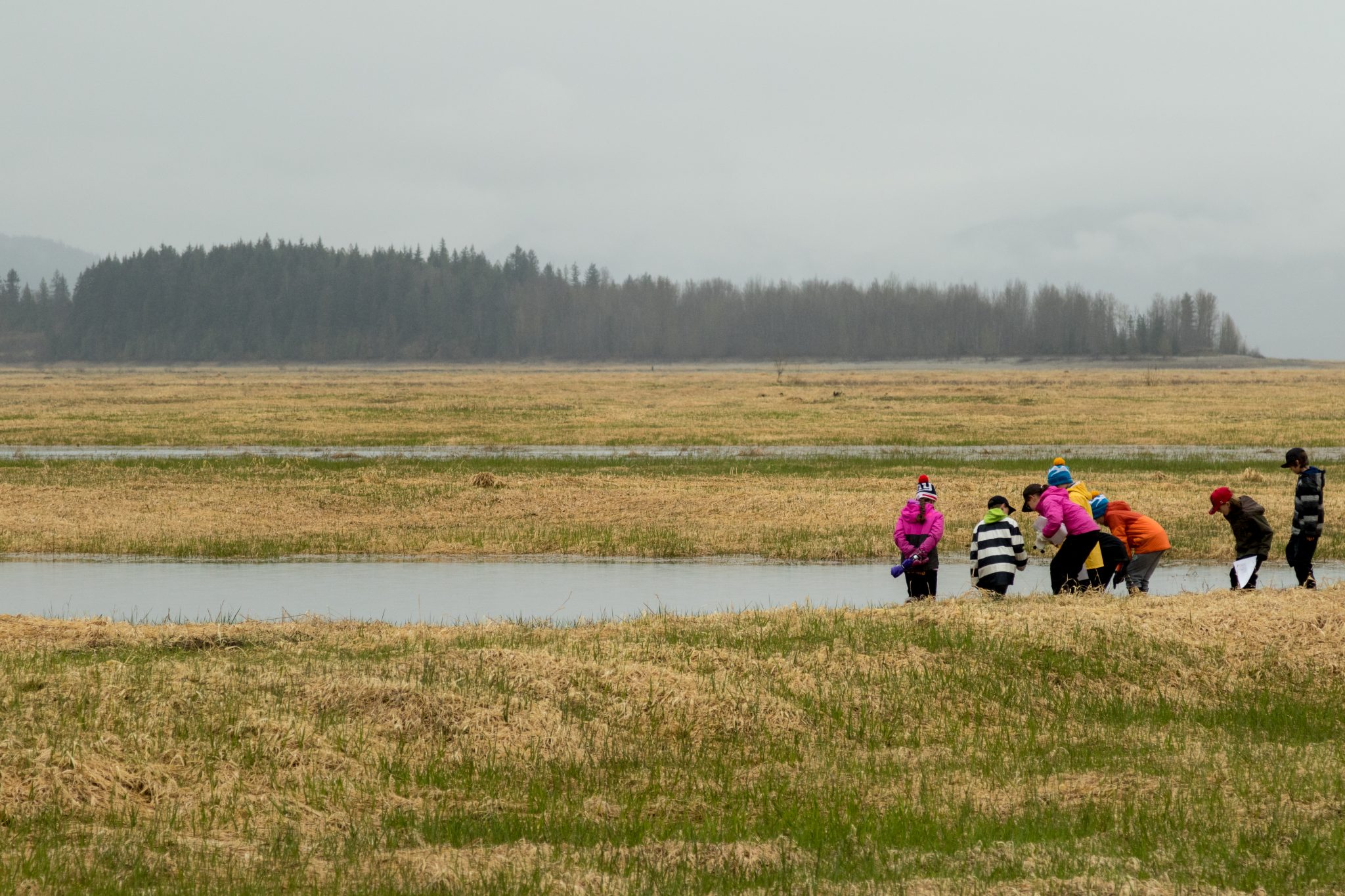 Wildsight’s Melissa Flint awarded CBEEN Environmental Education Award of Excellence – Wildsight