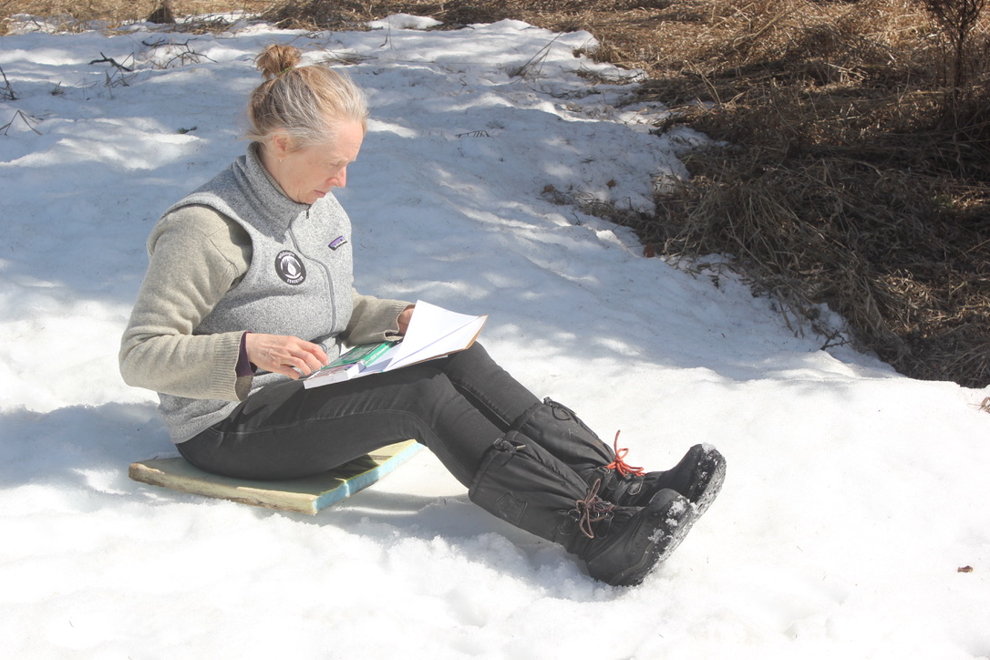 Seasonal Sit Spots – Wildsight