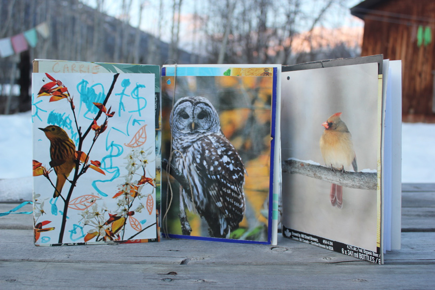 Nature Journals: K-7 – Wildsight