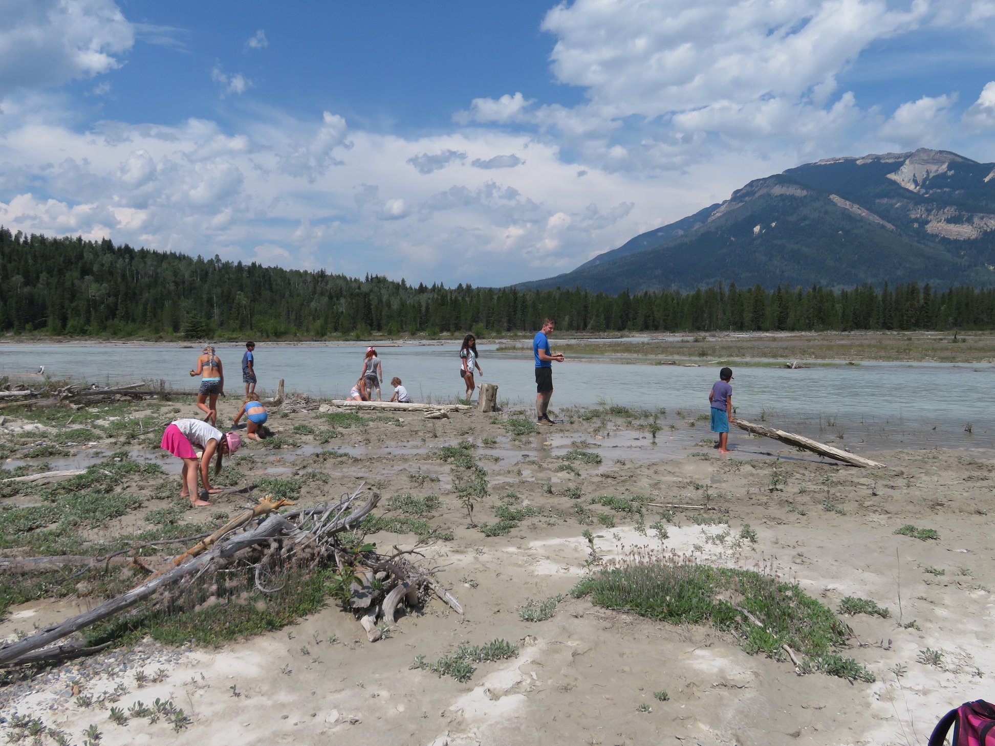 GET WILD! Camp is back for the summer of 2020! – Wildsight