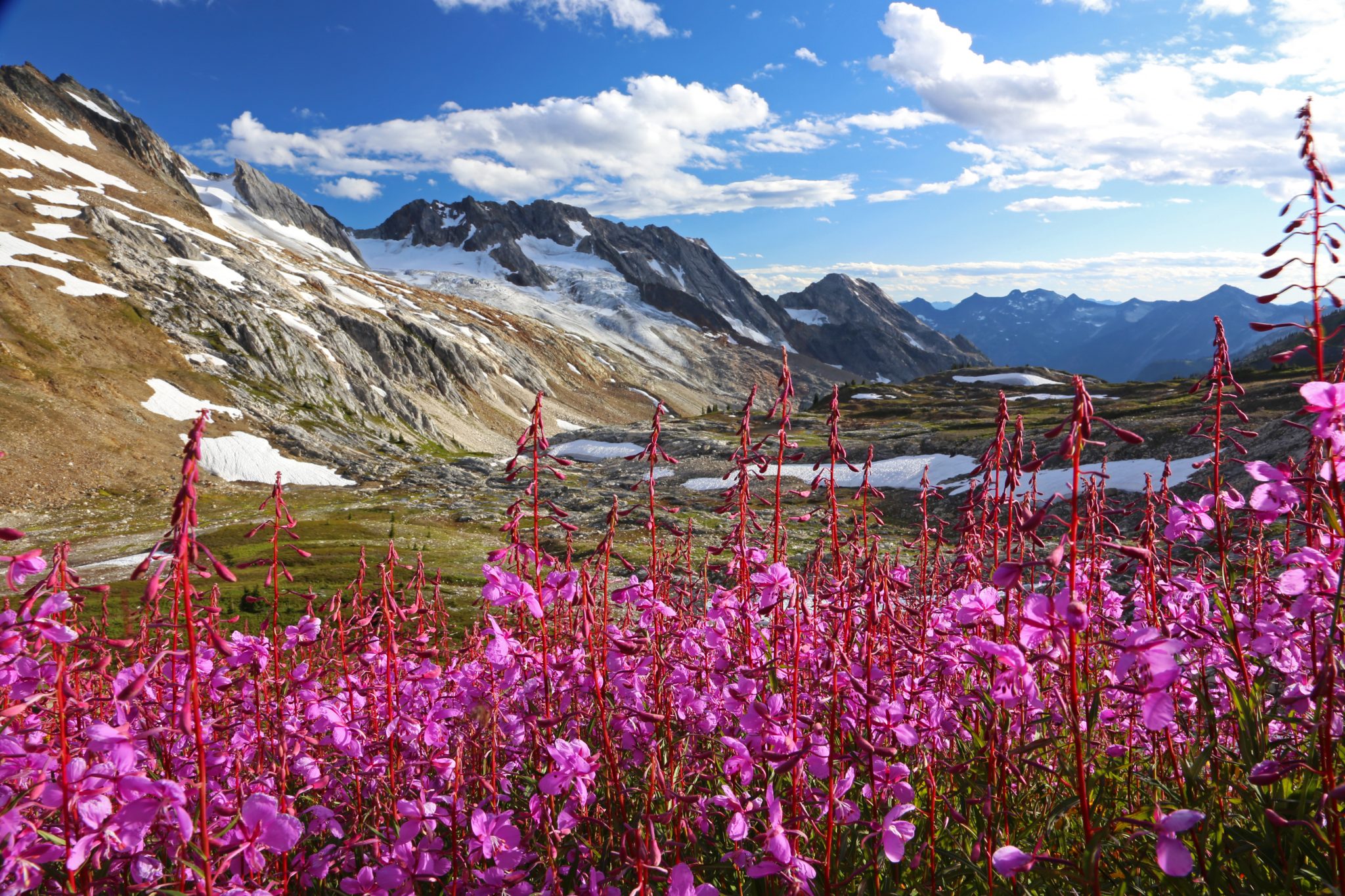 Earth’s Four Spheres – Wildsight