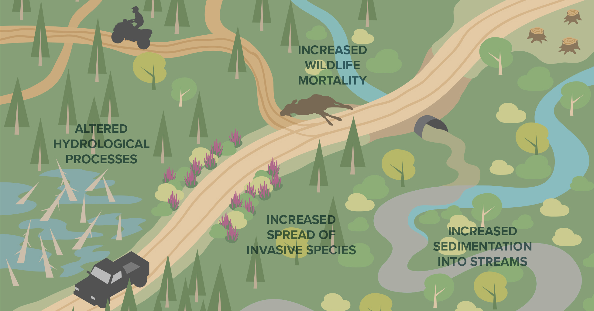 Making the road less traveled – Wildsight