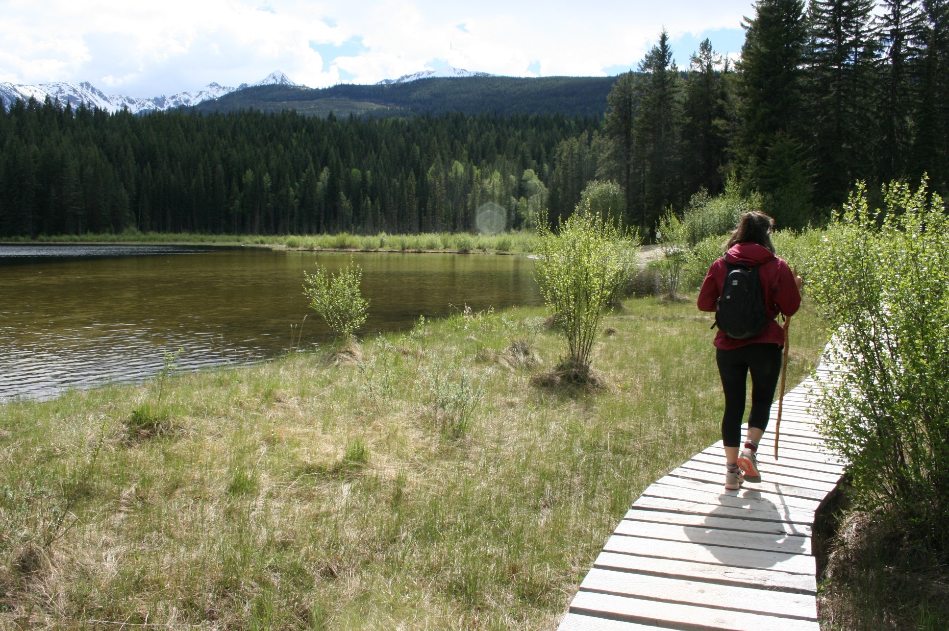 Golden West Bench Recreation Use and Wildlife Habitat Study – Wildsight