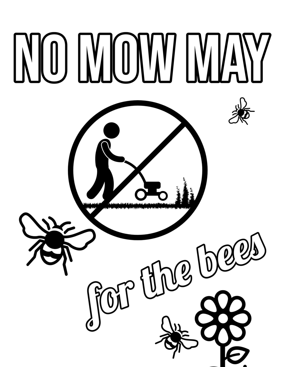 No Mow May – Wildsight