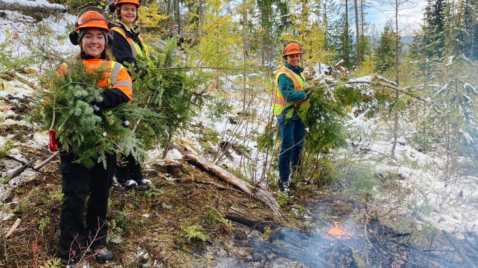 How to tackle climate change? A youth labour force – Wildsight