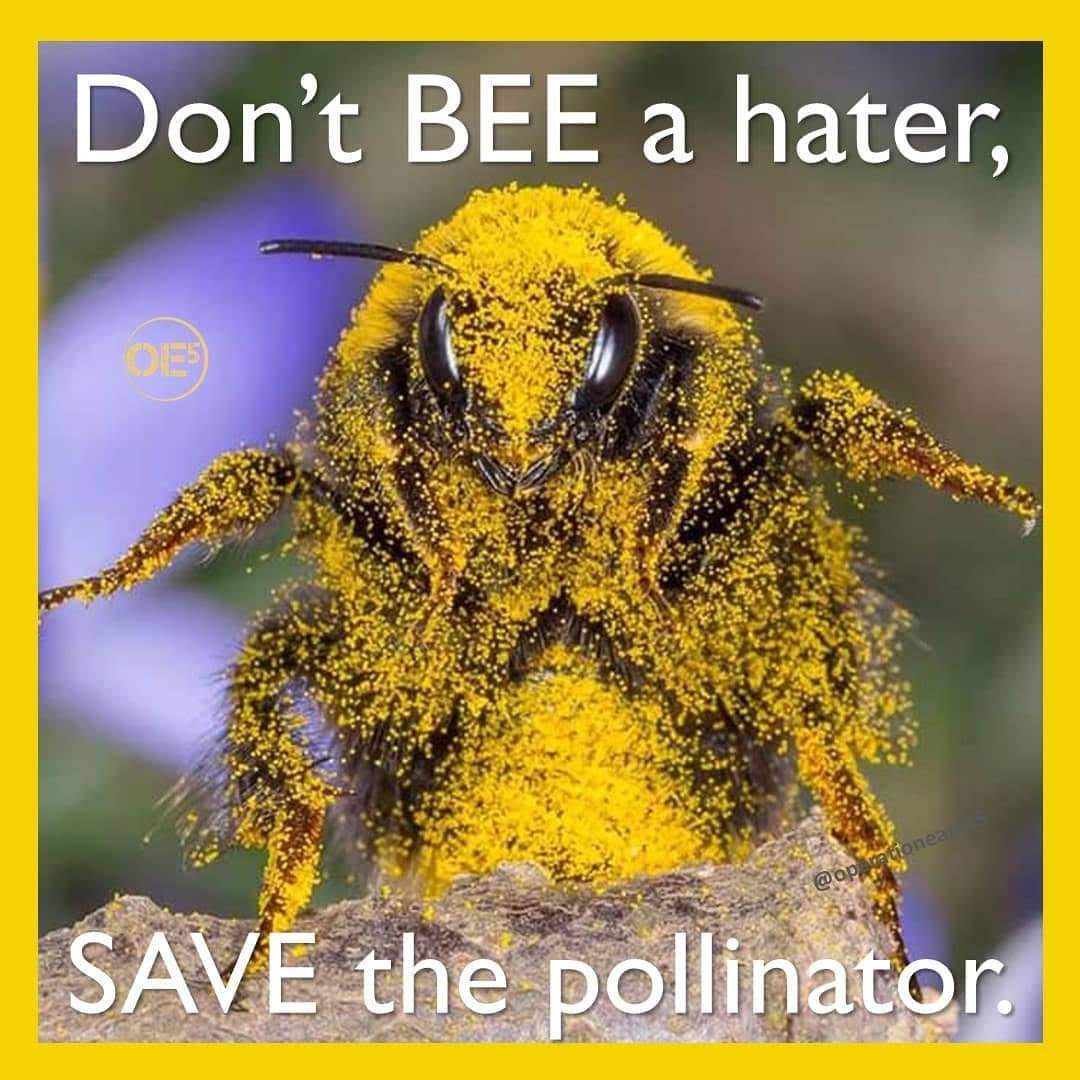 No Mow May – Wildsight