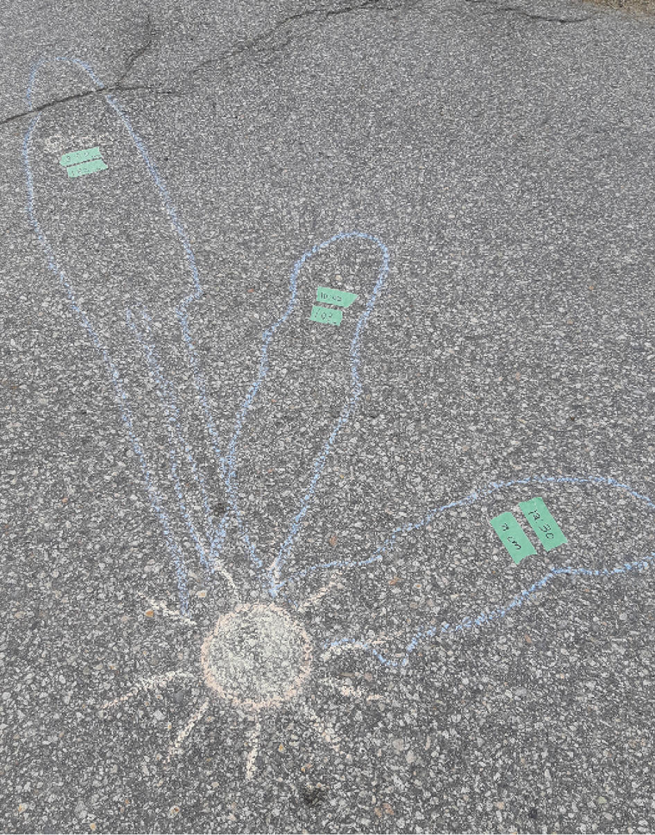 Make a Sundial – Wildsight