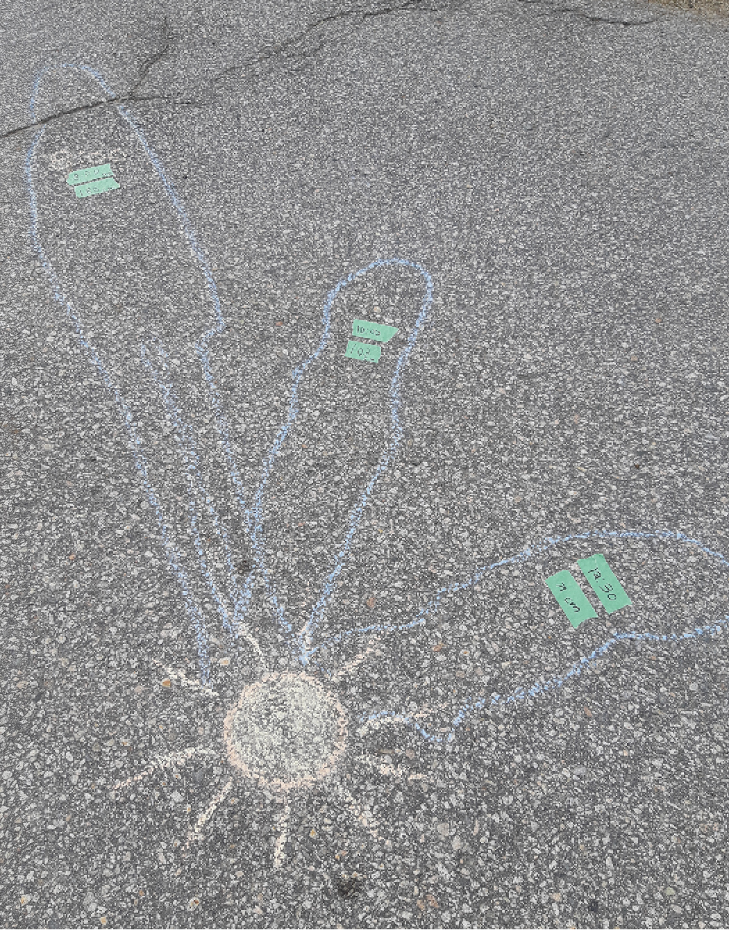 Make a Sundial – Wildsight