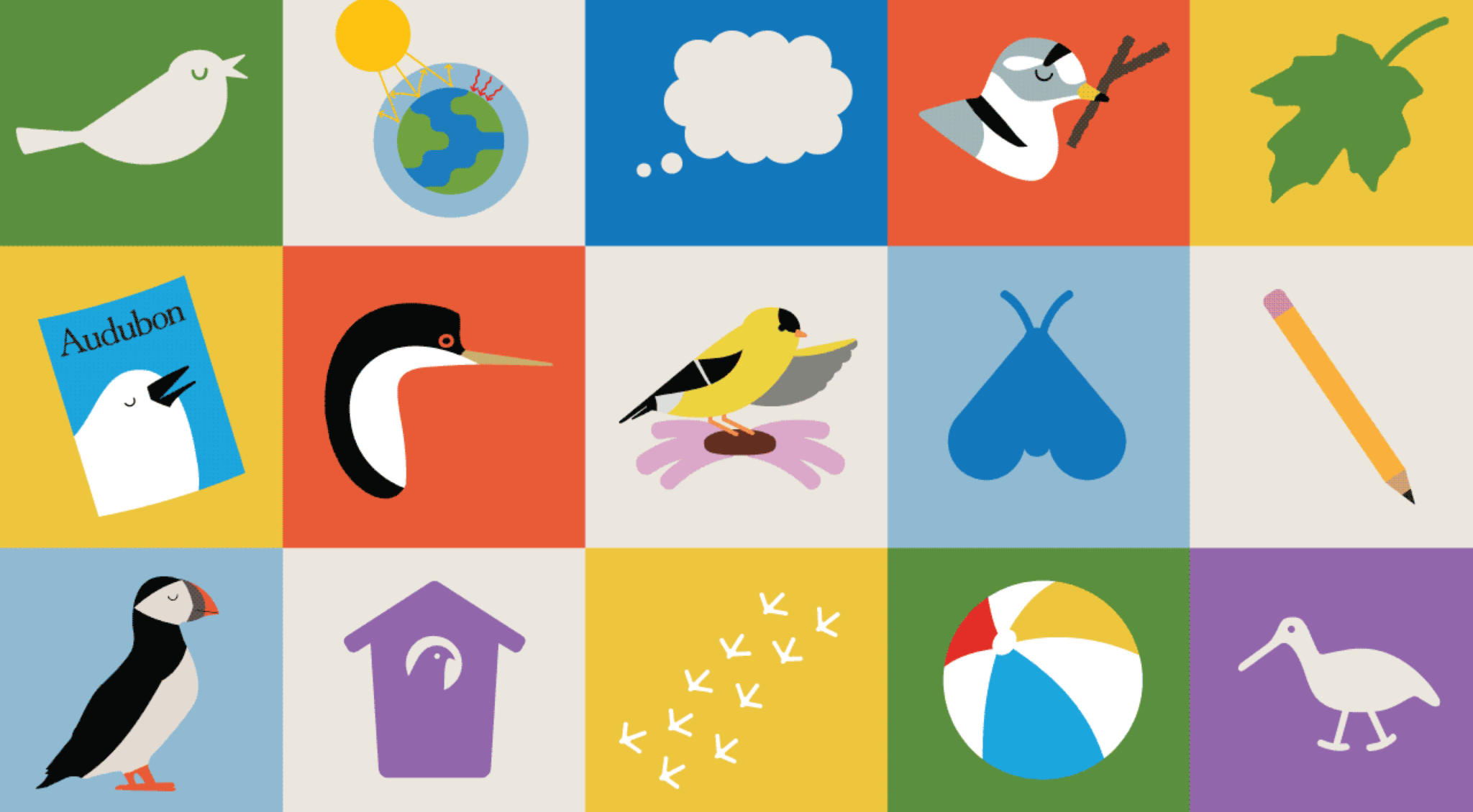 Birding Basics – Wildsight