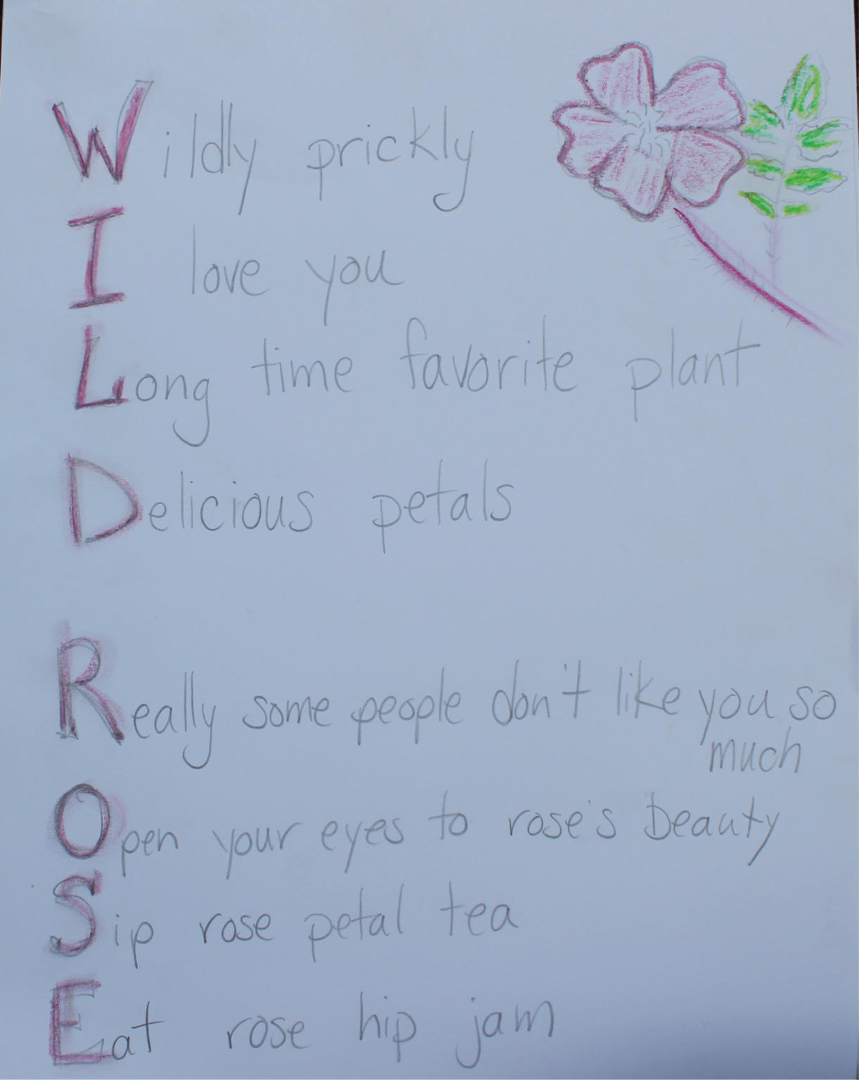 Poet Tree – Wildsight