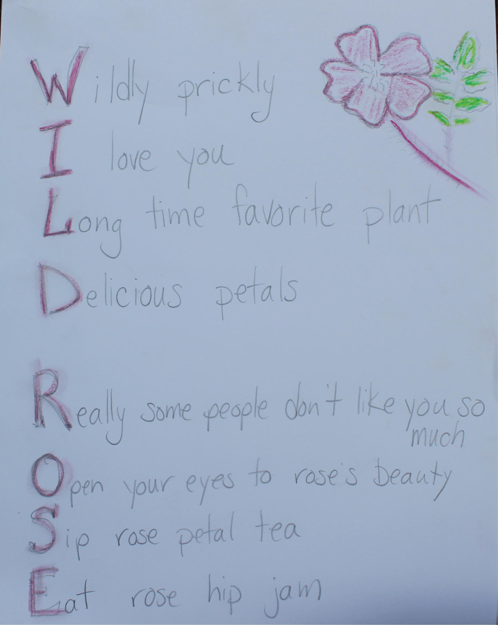 Poet Tree – Wildsight