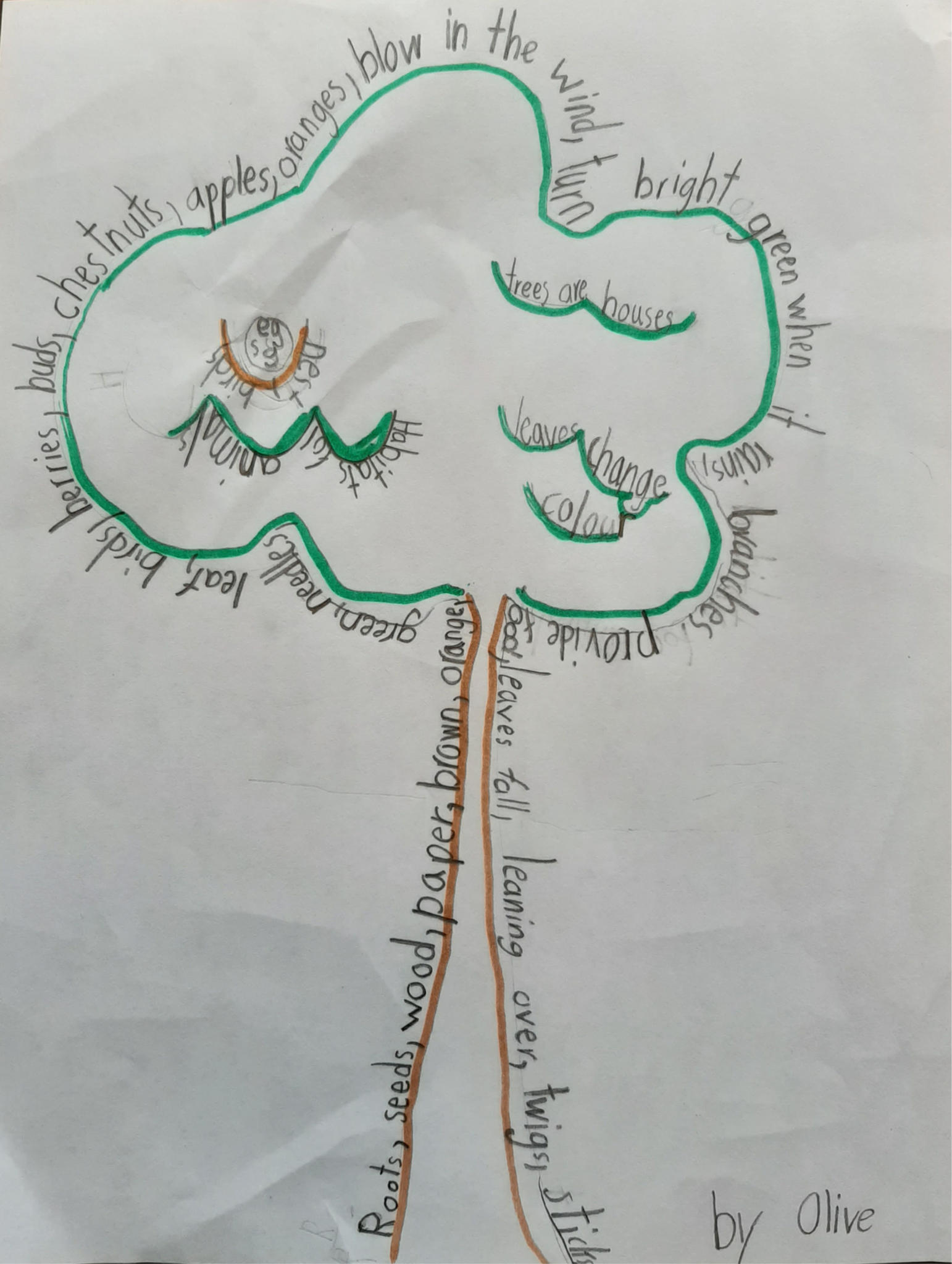 Poet Tree – Wildsight