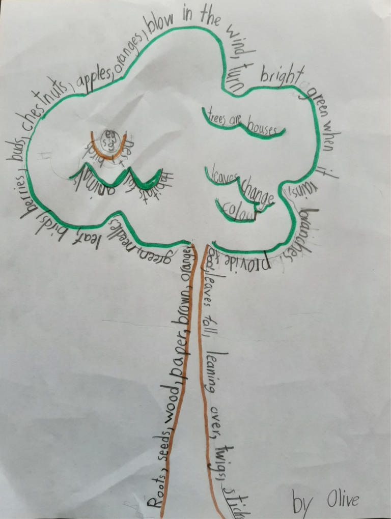 Poet Tree – Wildsight