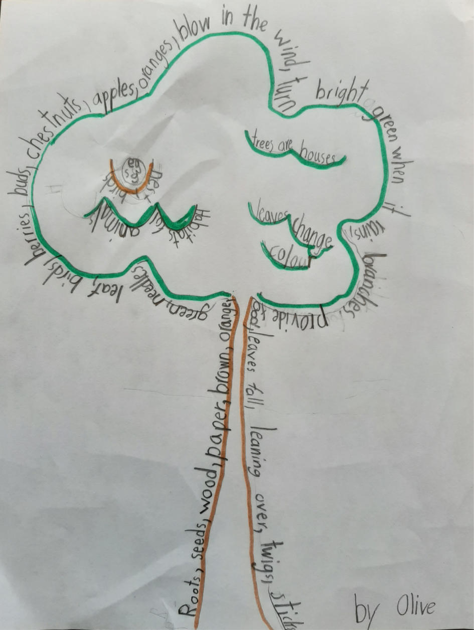 Poet Tree – Wildsight