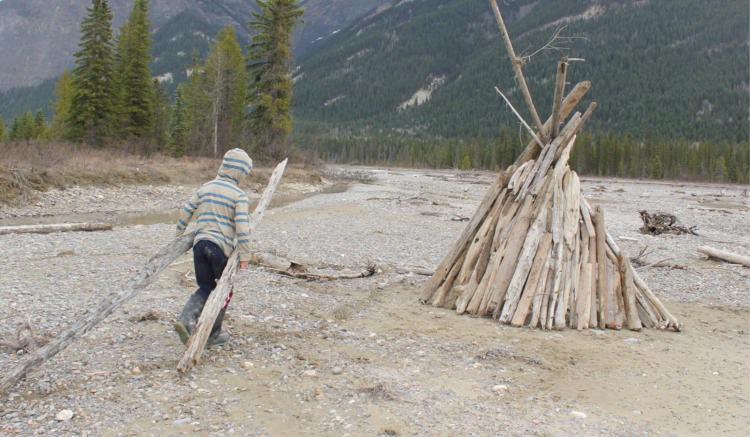 Tree Art – Wildsight