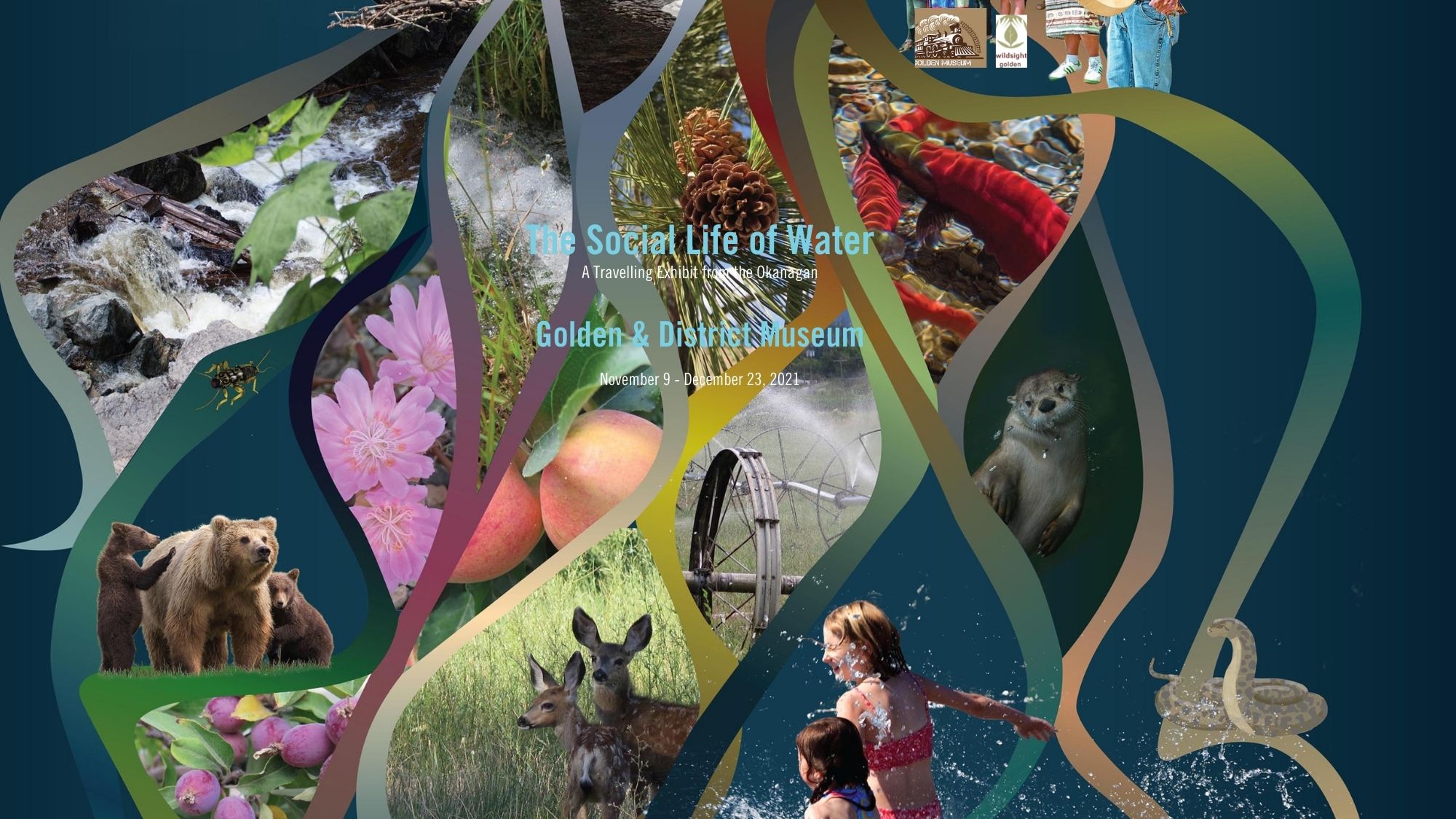 Social Life of Water Travelling Exhibit comes to Golden Museum and ...