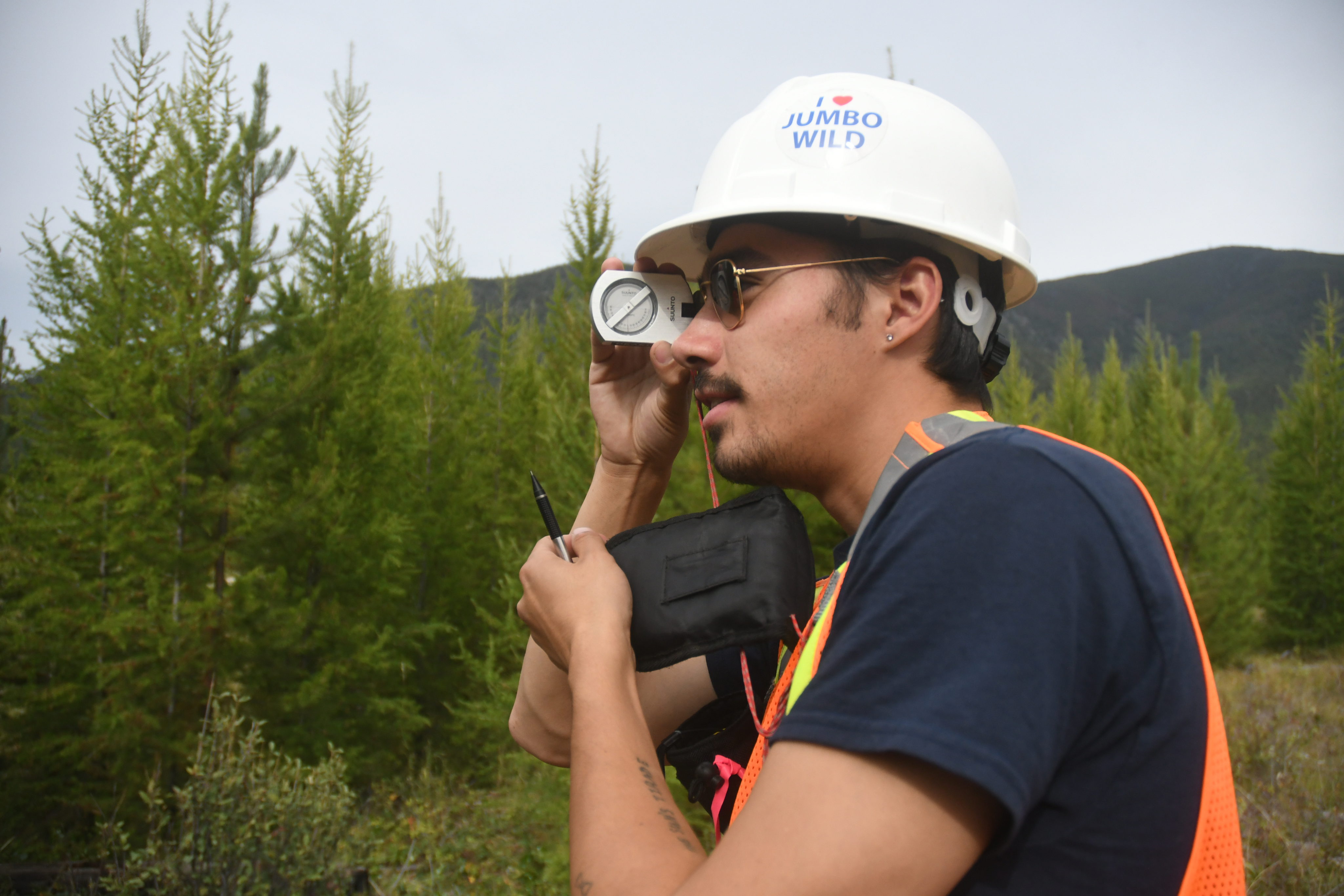 Studying the forest for the trees – Wildsight