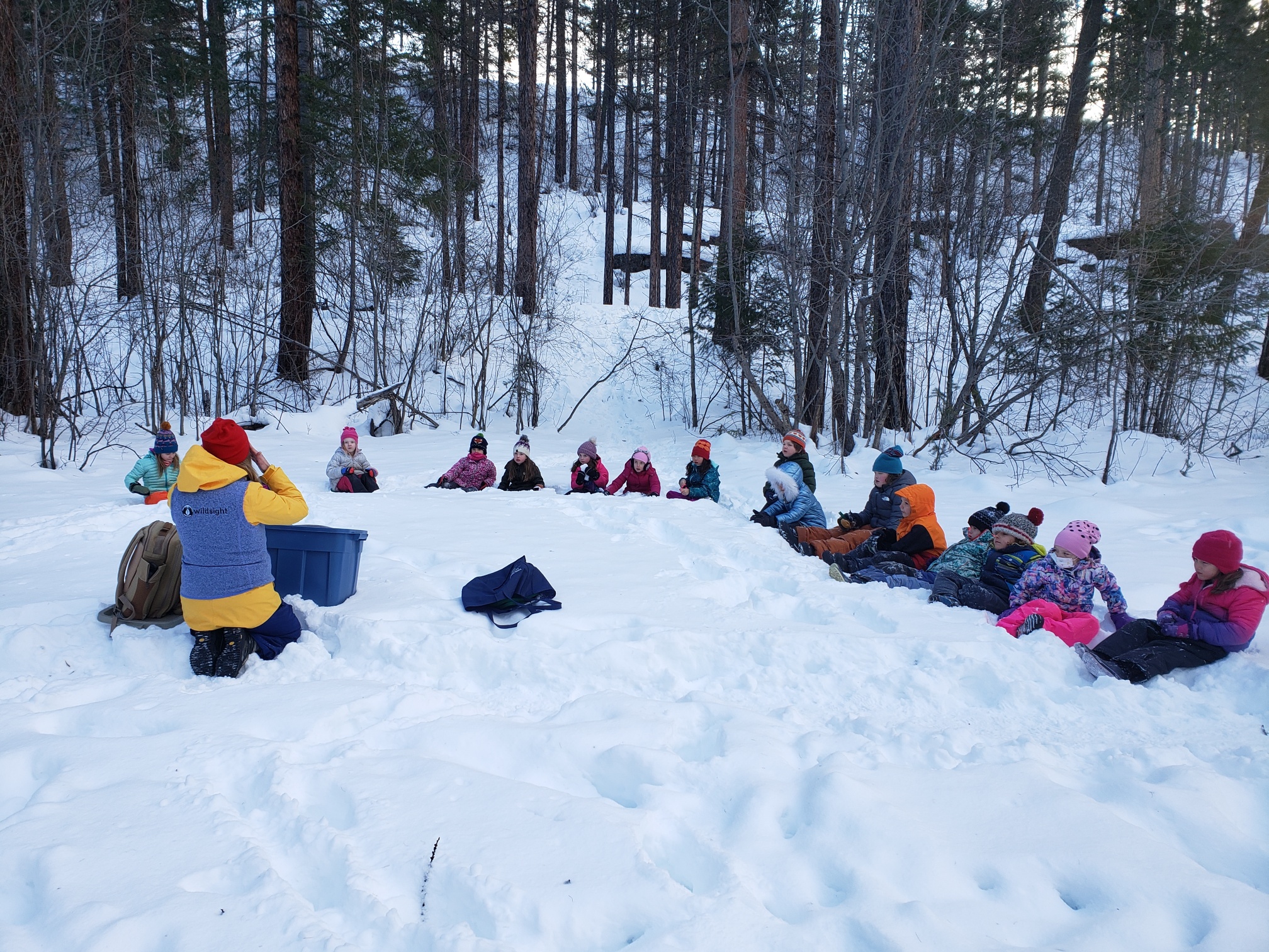 Winter wonder revealed – Wildsight