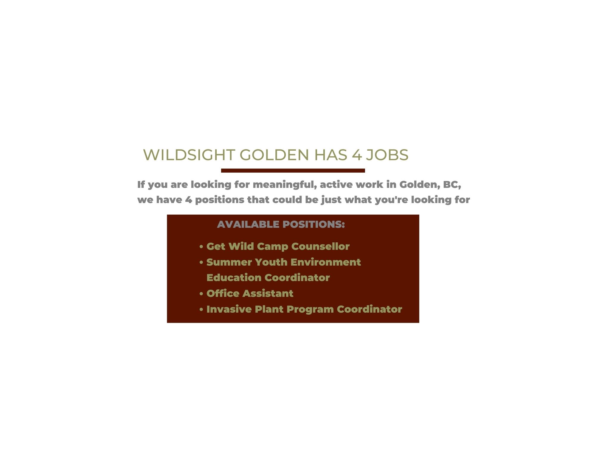 Wildsight Golden Summer Work Opportunities – Wildsight