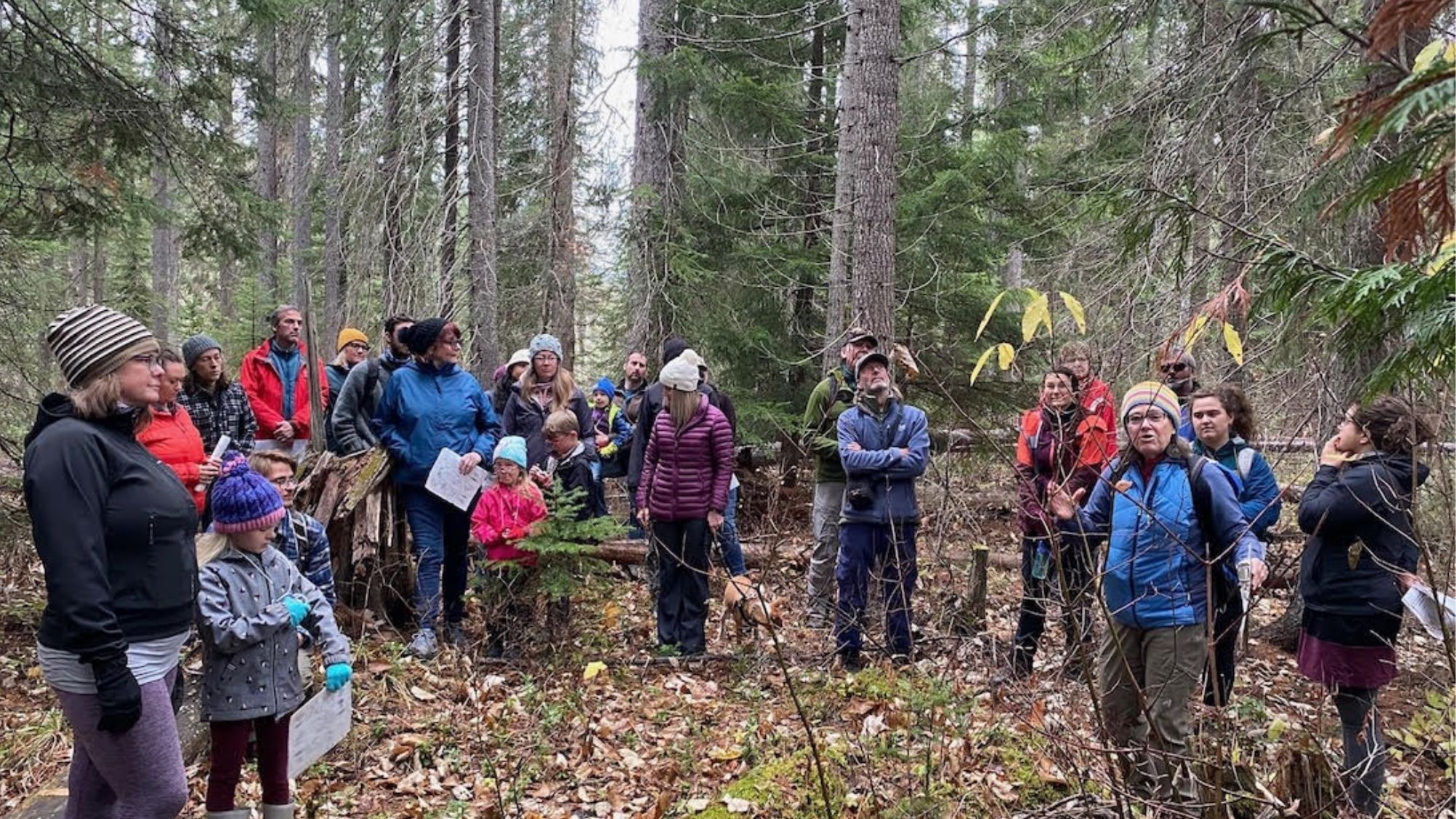 Wildsight Golden AGM 2022 – Wildsight