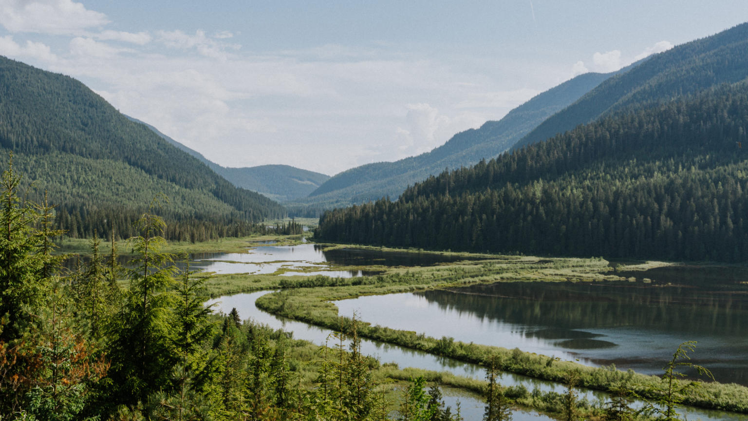 Photostory: In the Inland Temperate Rainforest with a lichenologist ...