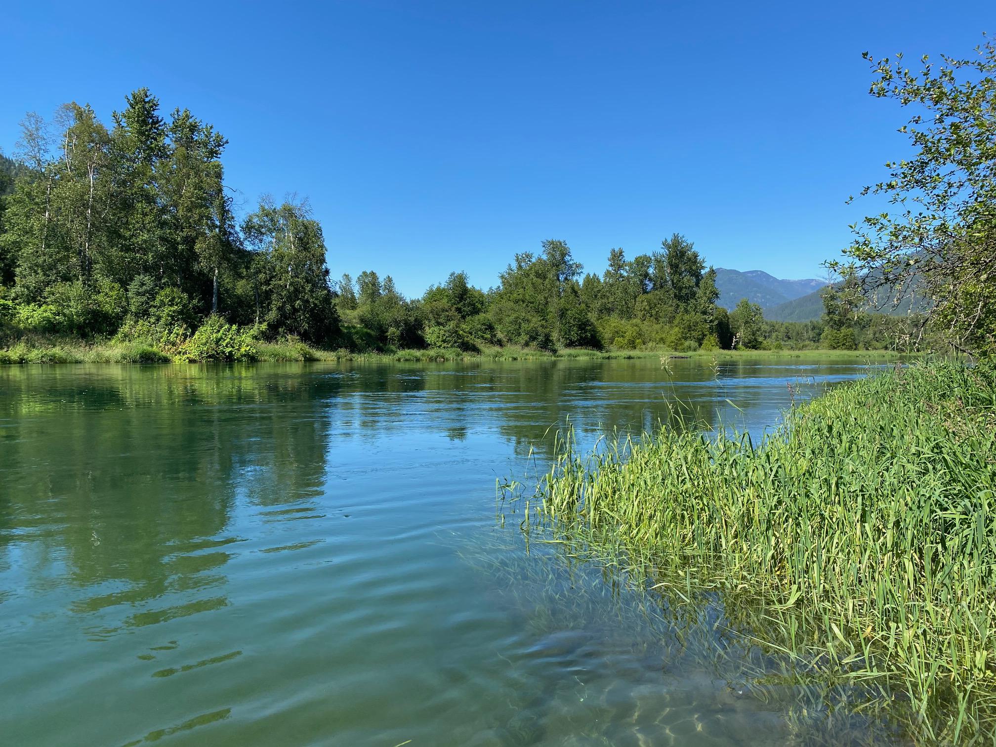 Local Conservation Fund in the Slocan Valley – Wildsight
