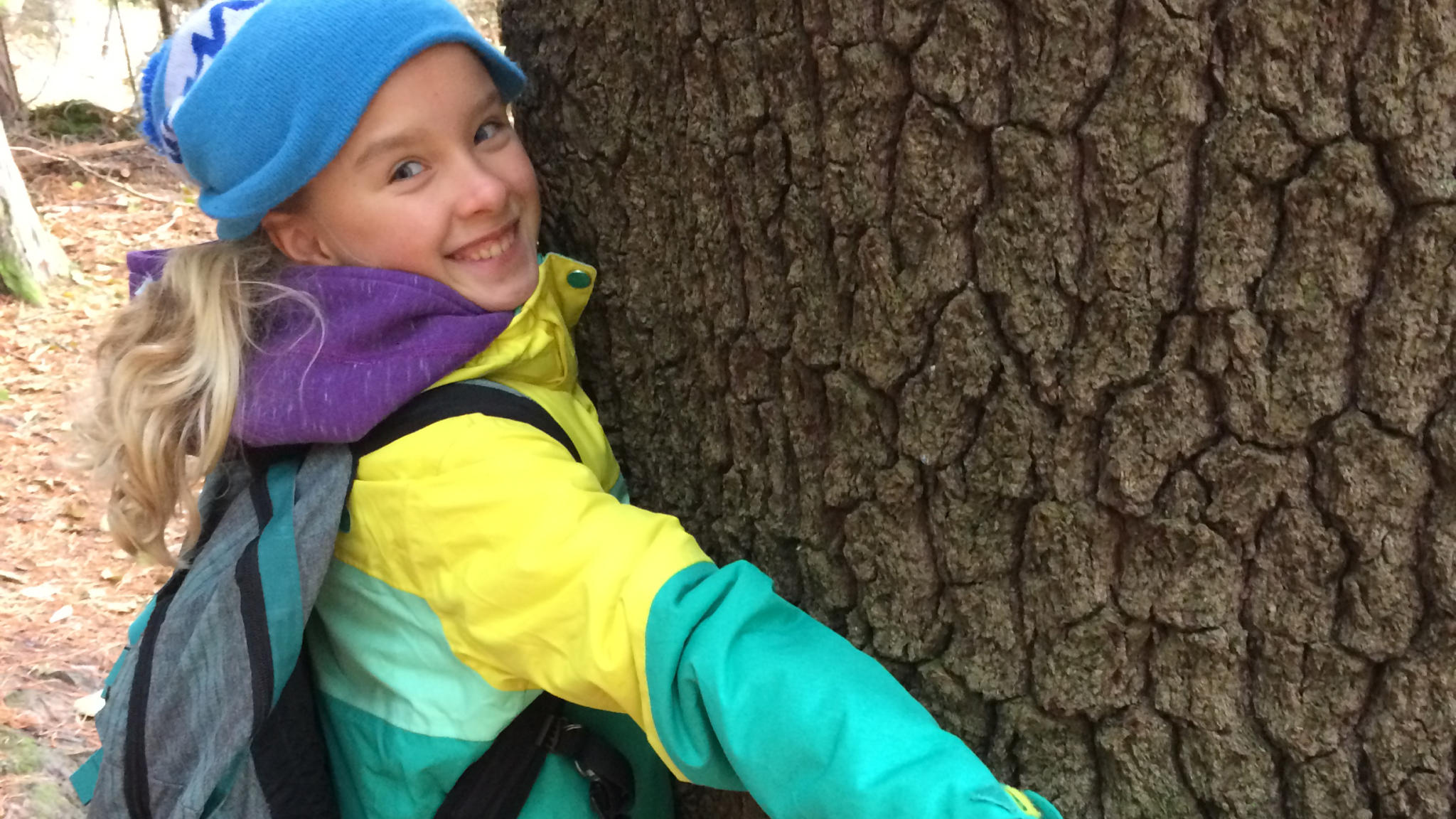 Exploring Fall Bundle 1 – Wildsight