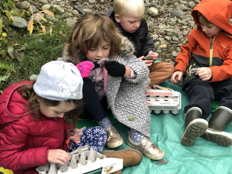 Exploring Fall Bundle 1 – Wildsight