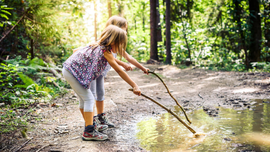 Spring bundle 1 – Wildsight