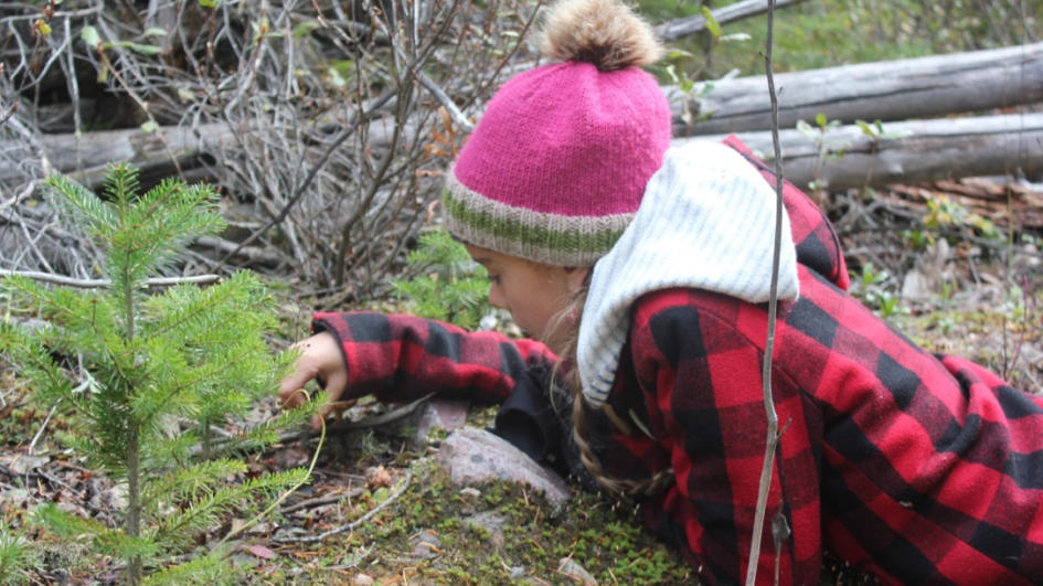 Spring bundle 1 – Wildsight